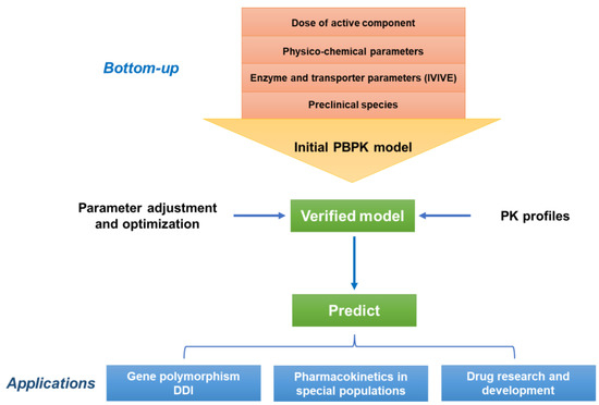 Utilization of Physiologically Based Pharmacokinetic Modeling in ...