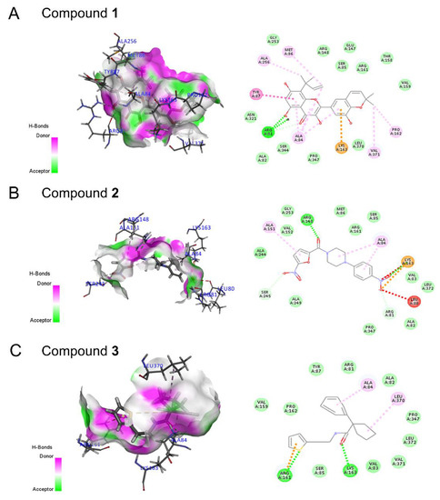 Combination of Docking-Based and Pharmacophore-Based Virtual Screening ...
