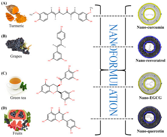 Molecules | Free Full-Text | Nanodelivery of Dietary Polyphenols for ...