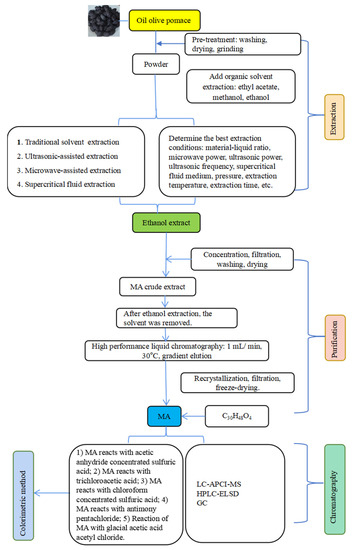 Maslinic Acid: A New Compound for the Treatment of Multiple Organ Diseases