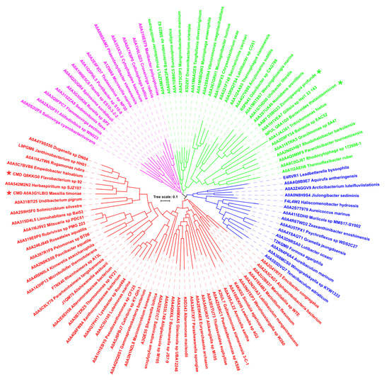Molecules | Free Full-Text | A Novel Subfamily GH13_46 of the α-Amylase ...