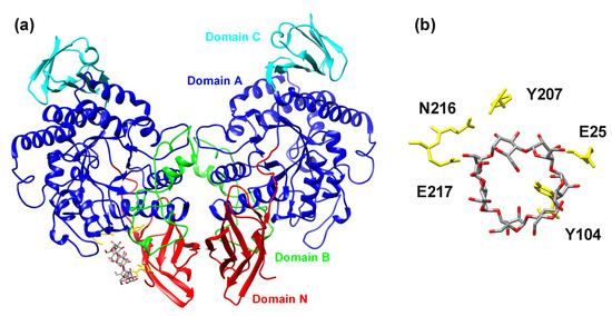 A Novel Subfamily GH13_46 of the α-Amylase Family GH13 Represented by ...