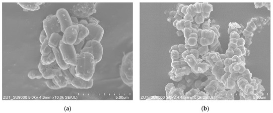 W-SBA-15 as an Effective Catalyst for the Epoxidation of 1,5,9 ...