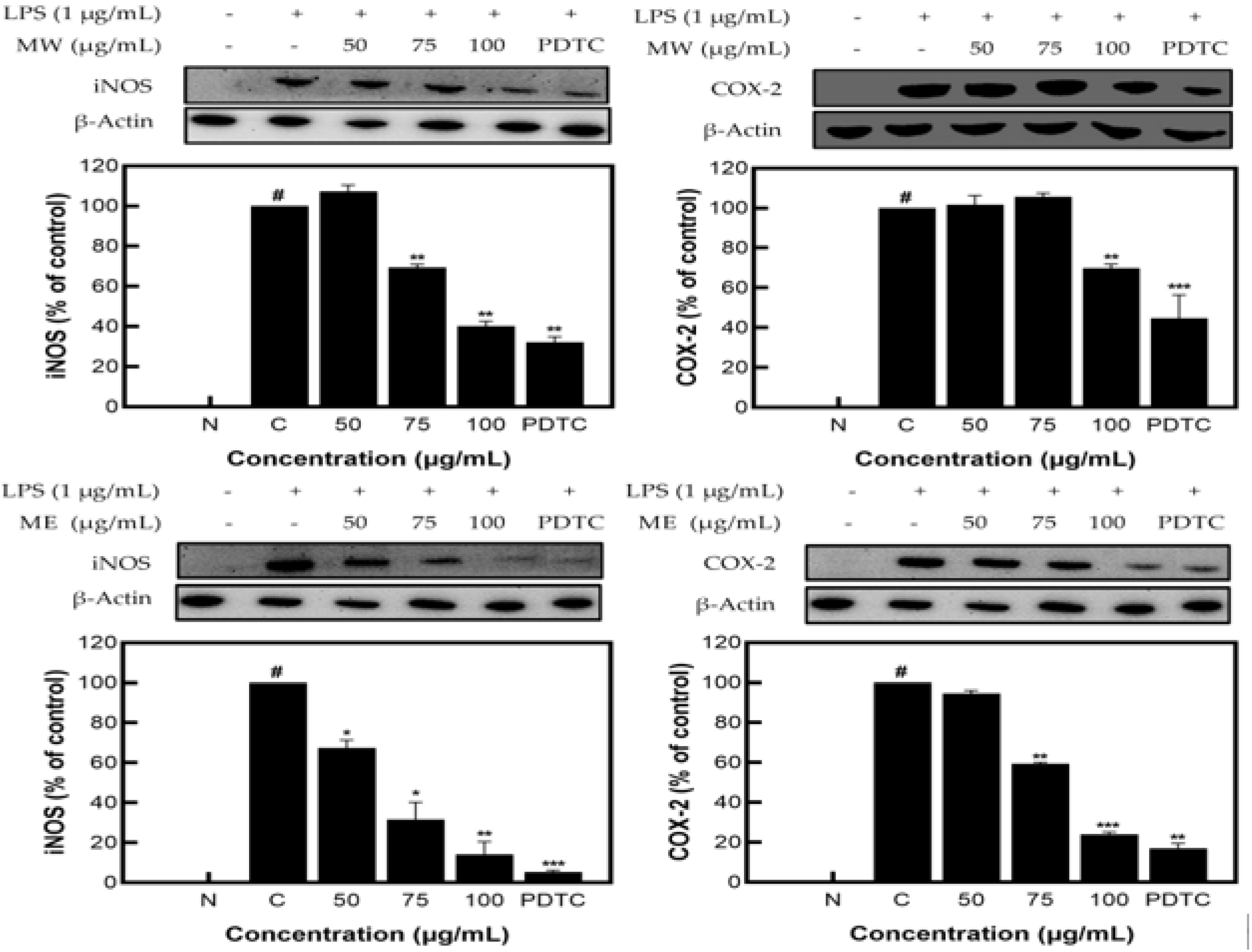 Anti-Inflammatory Activity of Velvet Bean (Mucuna pruriens) Substances ...
