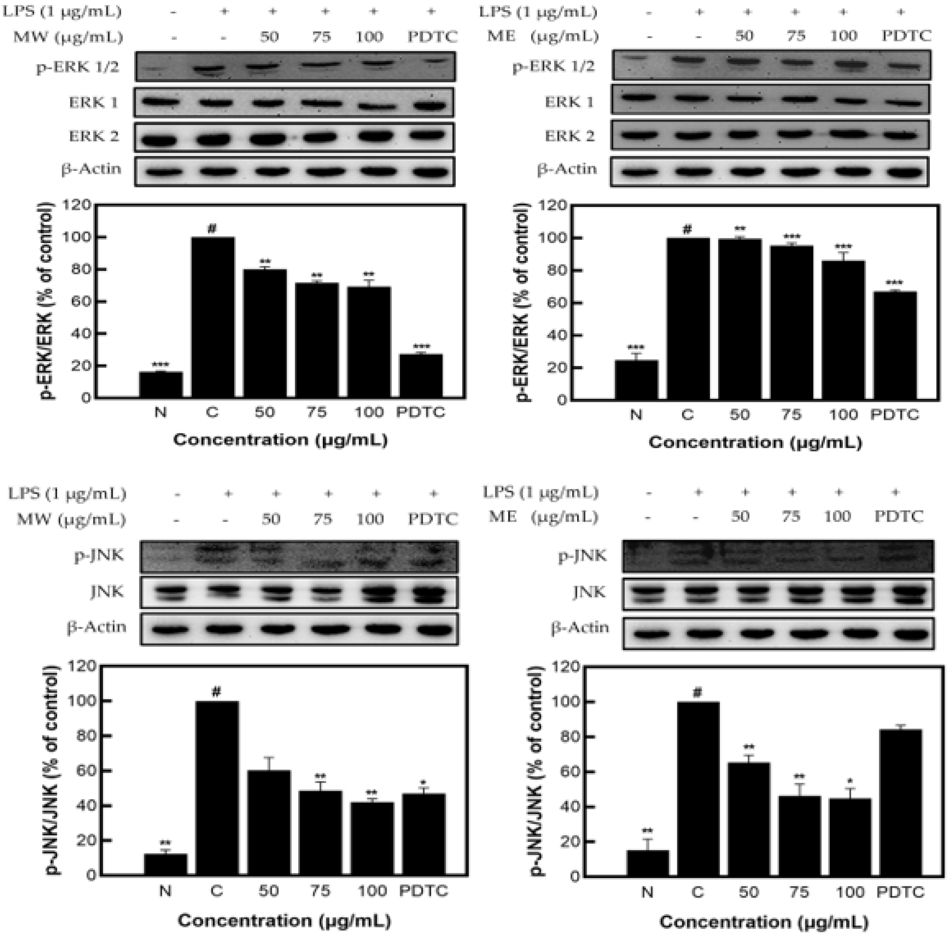 Anti-Inflammatory Activity of Velvet Bean (Mucuna pruriens) Substances ...
