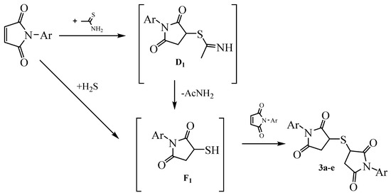 New Aspects of the Reaction of Thioacetamide and N-Substituted Maleimides
