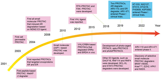 Proteolysis-Targeting Chimeras (PROTACs) in Cancer Therapy: Present and ...