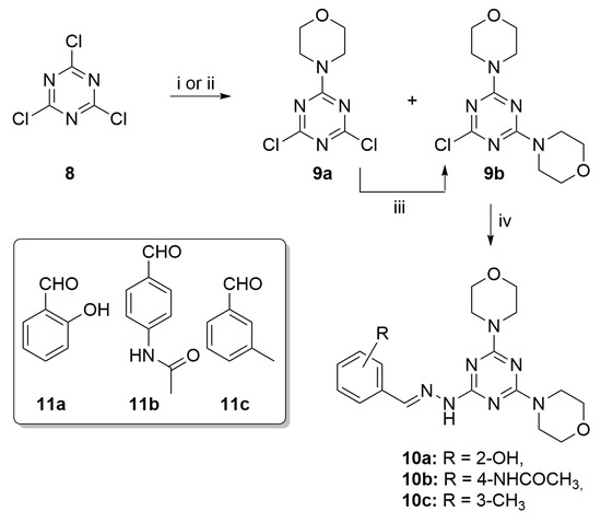 Privileged Scaffold Decoration for the Identification of the First ...