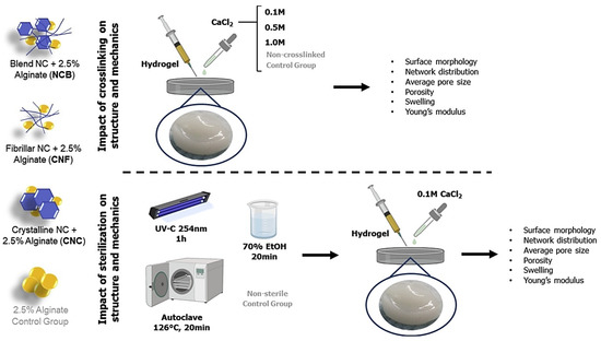 Cellulose-Based Composites as Scaffolds for Tissue Engineering: Recent ...