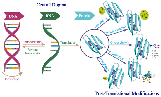 Impact of N-Linked Glycosylation on Therapeutic Proteins