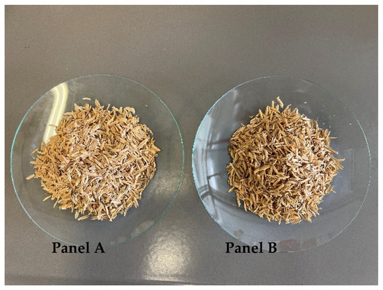Molecules | Free Full-Text | Fractionation of Raw and Parboiled Rice ...