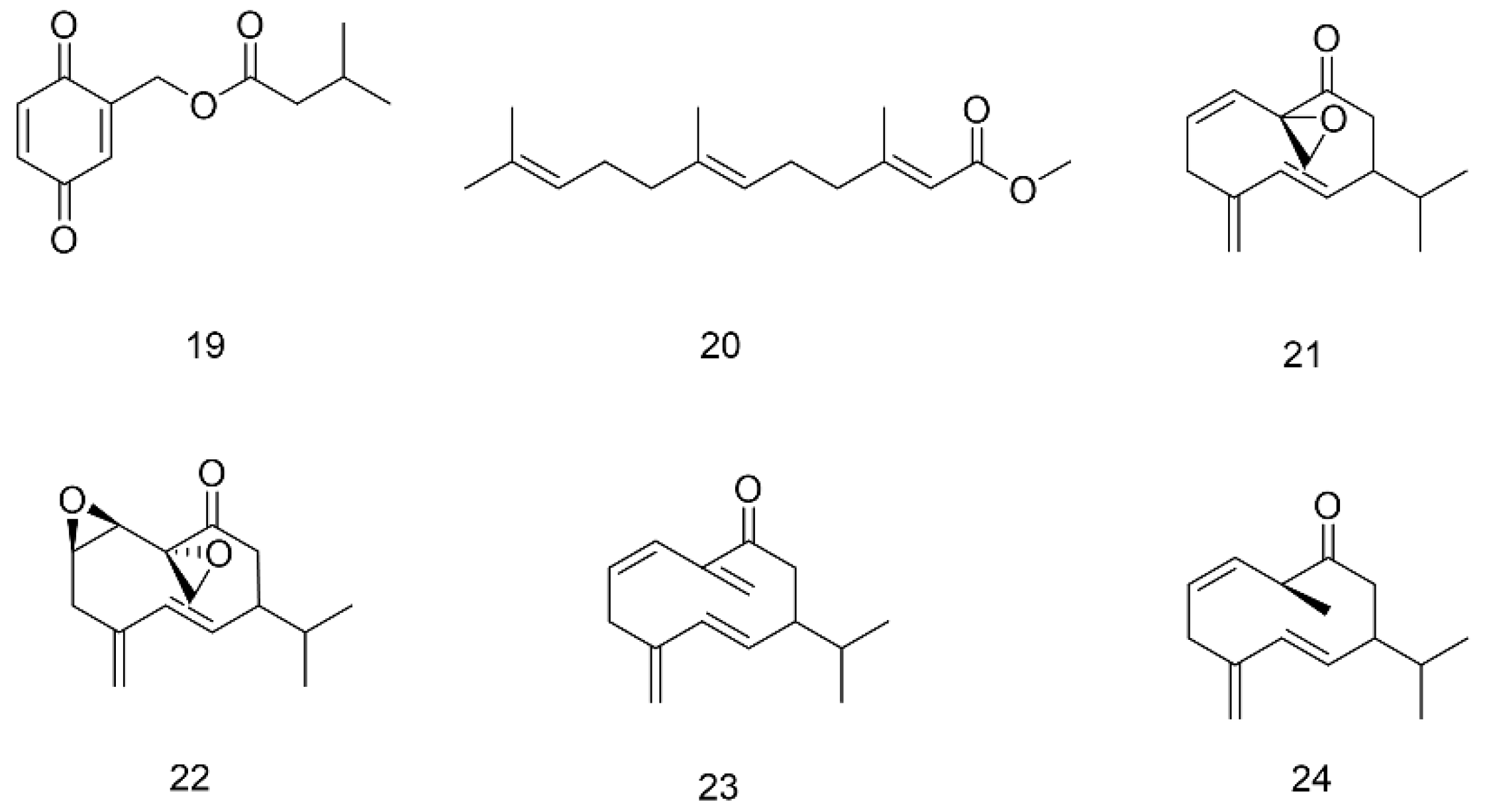 Phytochemical Profiling, Isolation, and Pharmacological Applications of ...