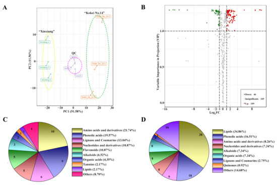 Comparative Metabolomic and Transcriptomic Analyses of Phytochemicals in Two Elite Sweet Potato ...
