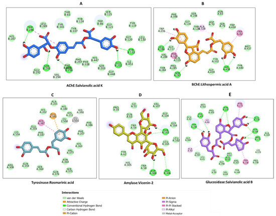 New Biological and Chemical Evidences of Two Lamiaceae Species (Thymbra ...