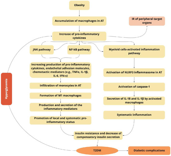 The Role of Oxidative Stress-Mediated Inflammation in the Development ...