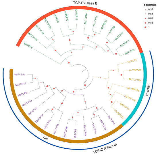 Genome-Wide Identification and Characterization of TCP Gene Family ...
