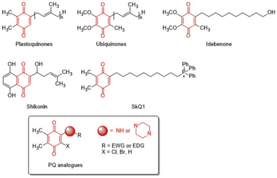 Molecules | Free Full-Text | Studies on 1,4-Quinone Derivatives ...