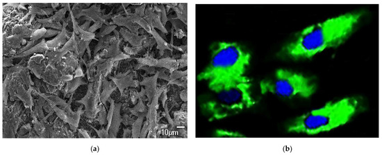 Electrically Polarized Withaferin A and Alginate-Incorporated Biphasic ...