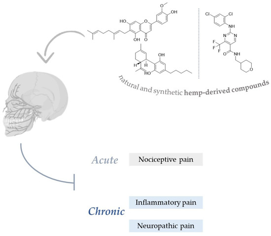 Cannabis Bioactive Compound-Based Formulations: New Perspectives for ...