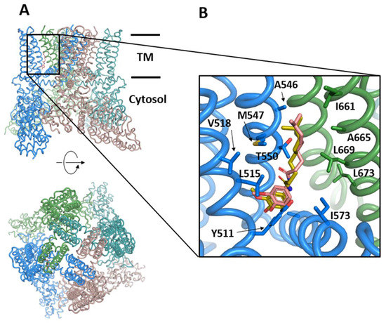 Comprehensive Survey of Consensus Docking for High-Throughput Virtual ...