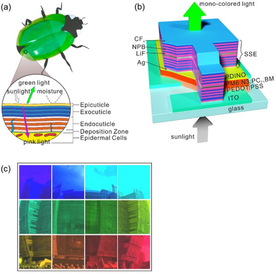 Biomimetic Approaches to “Transparent” Photovoltaics: Current and ...