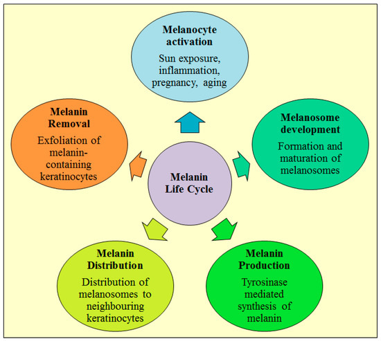 Decrypting the Potential of Nanotechnology-Based Approaches as Cutting ...