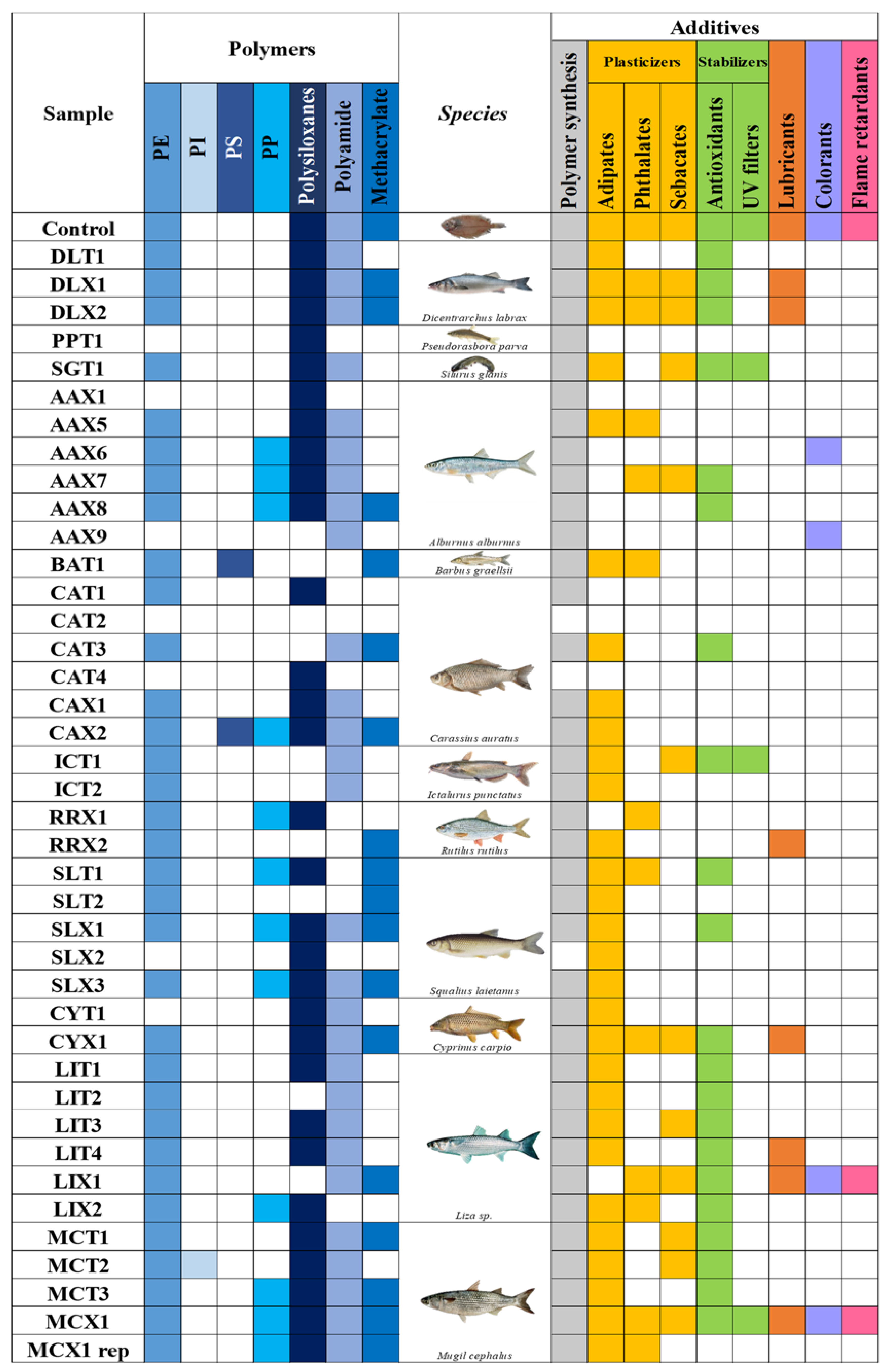 Molecules | Free Full-Text | Assessment of Micro- and Nanoplastic Composition (Polymers and ...
