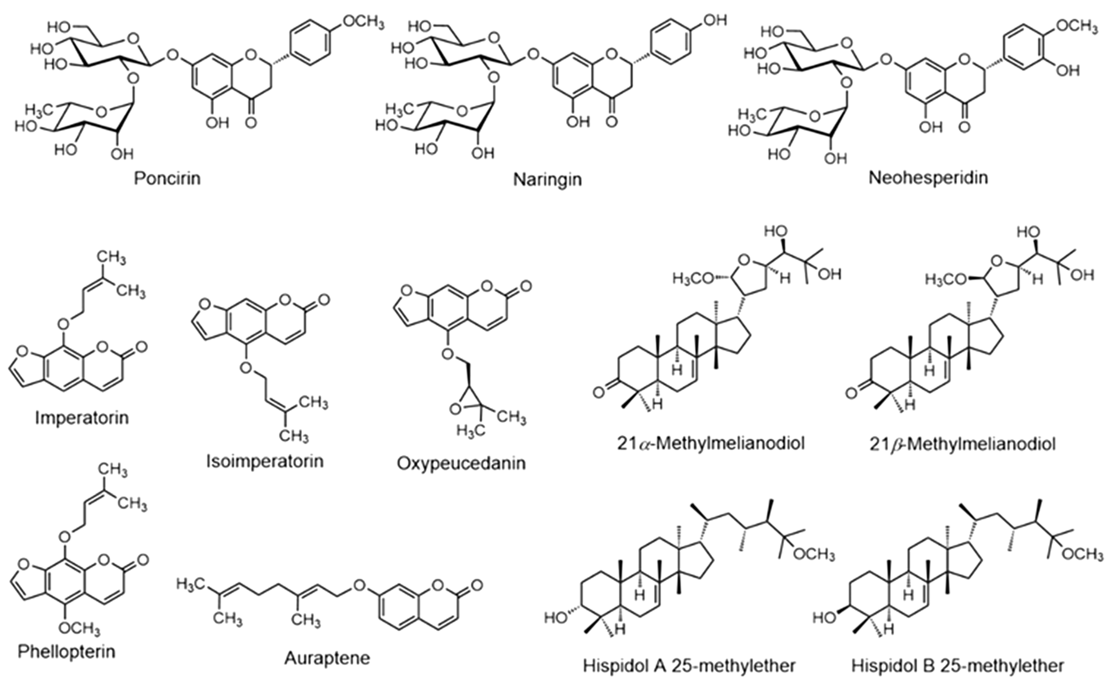 Bioactive Chemical Constituents and Pharmacological Activities of ...