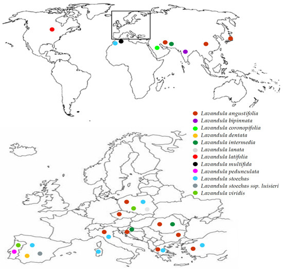 Phytochemical Profiling, Antioxidant and Anti-Inflammatory Activity of ...