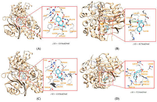 Medicarpin and Homopterocarpin Isolated from Canavalia lineata as ...
