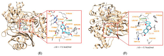 Medicarpin and Homopterocarpin Isolated from Canavalia lineata as ...