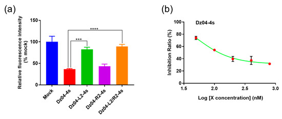 8–17 DNAzyme Silencing Gene Expression in Cells via Cleavage and Antisense