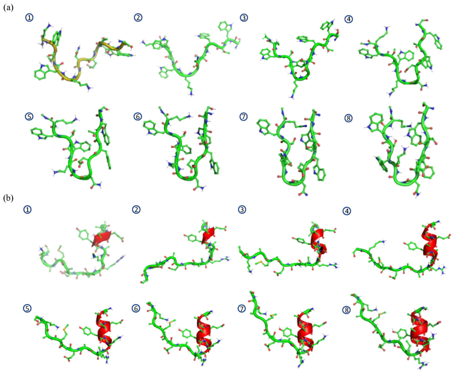 3D Conformational Generative Models for Biological Structures Using ...