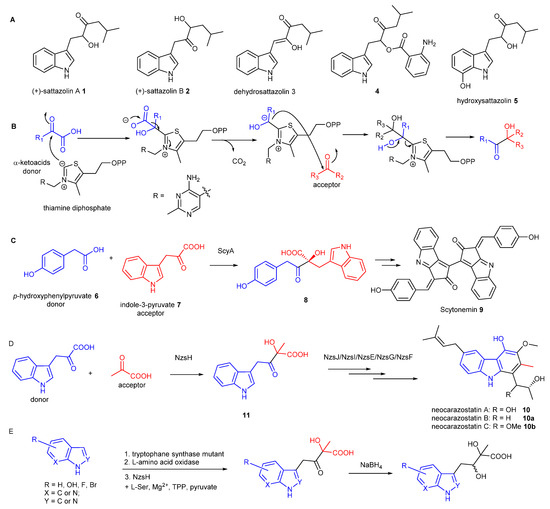 Chemoenzymatic Synthesis of Indole-Containing Acyloin Derivatives