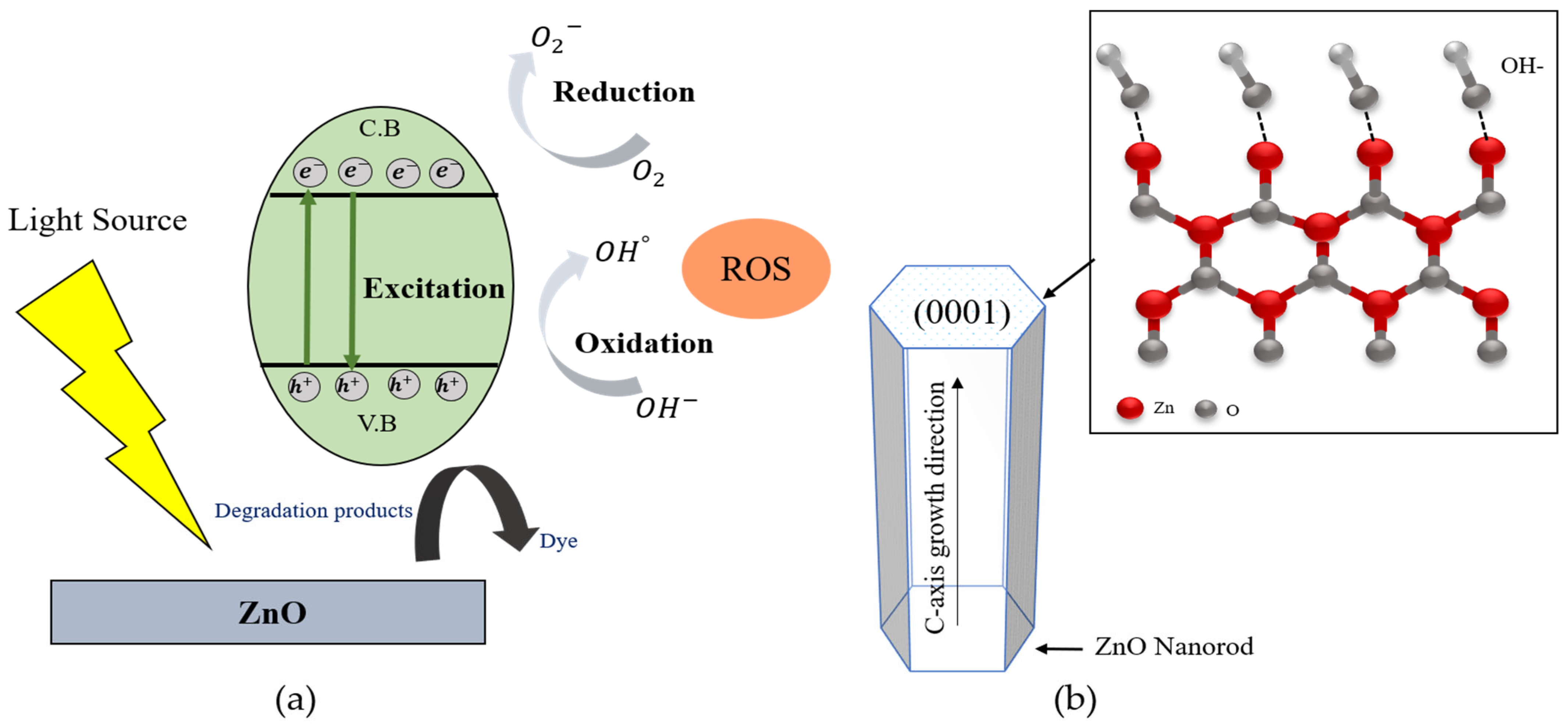 Fabrication of Well-Aligned ZnO Nanorods with Different Reaction Times by Chemical Bath ...
