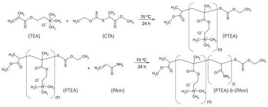 Assessing the Contribution of the Neutral Blocks in DNA/Block-Copolymer Polyplexes: Poly ...