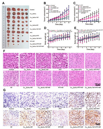 Molecules | Free Full-Text | A Cell-Penetrating Peptide Modified Cu2− ...