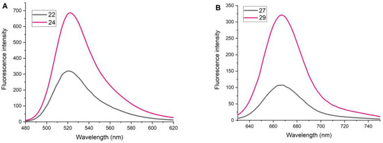 Branched Linkers for Site-Specific Fluorescent Labeling of Antibodies