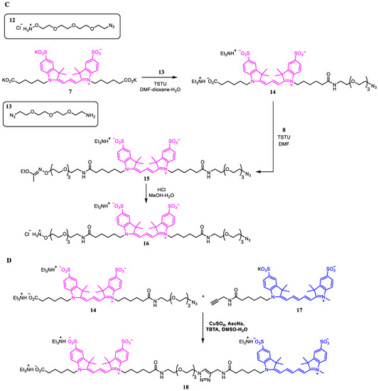 Branched Linkers for Site-Specific Fluorescent Labeling of Antibodies