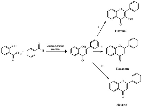 Stereoselective Synthesis of Flavonoids: A Brief Overview