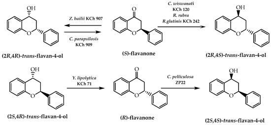 Stereoselective Synthesis of Flavonoids: A Brief Overview