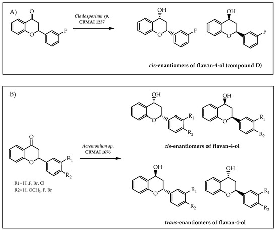 Stereoselective Synthesis of Flavonoids: A Brief Overview