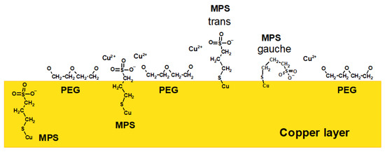 Interaction of Bis-(sodium-sulfopropyl)-Disulfide and Polyethylene ...