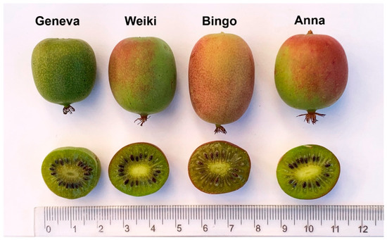 Variation of Chemical Composition and Antioxidant Properties of ...