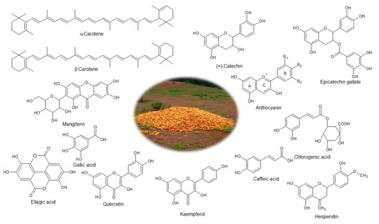 Bioactive Compounds in Extracts from the Agro-Industrial Waste of Mango