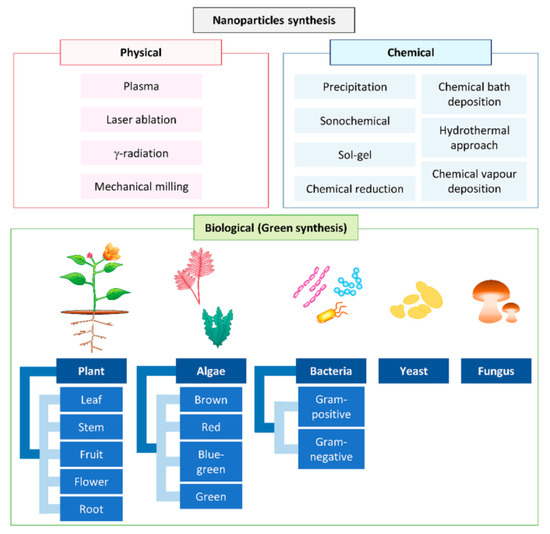 Plant and Microbial Approaches as Green Methods for the Synthesis of ...