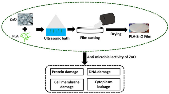 Promising Role of Polylactic Acid as an Ingenious Biomaterial in ...