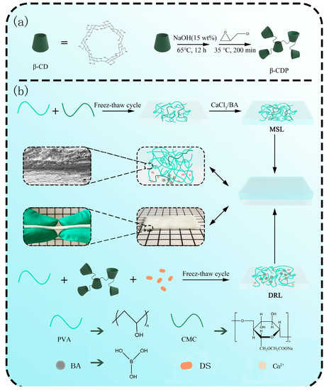 A Double-Layer Hydrogel Dressing with High Mechanical Strength and ...