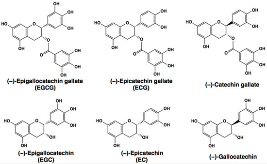 Effects of Epigallocatechin-3-Gallate on Matrix Metalloproteinases in Terms of Its Anticancer ...