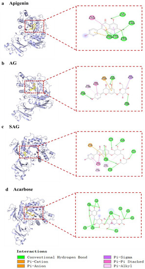 Efficient Synthesis and In Vitro Hypoglycemic Activity of Rare Apigenin ...